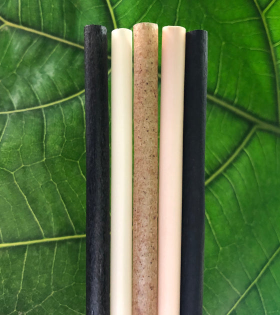 Ecoware Straw Sample Packs