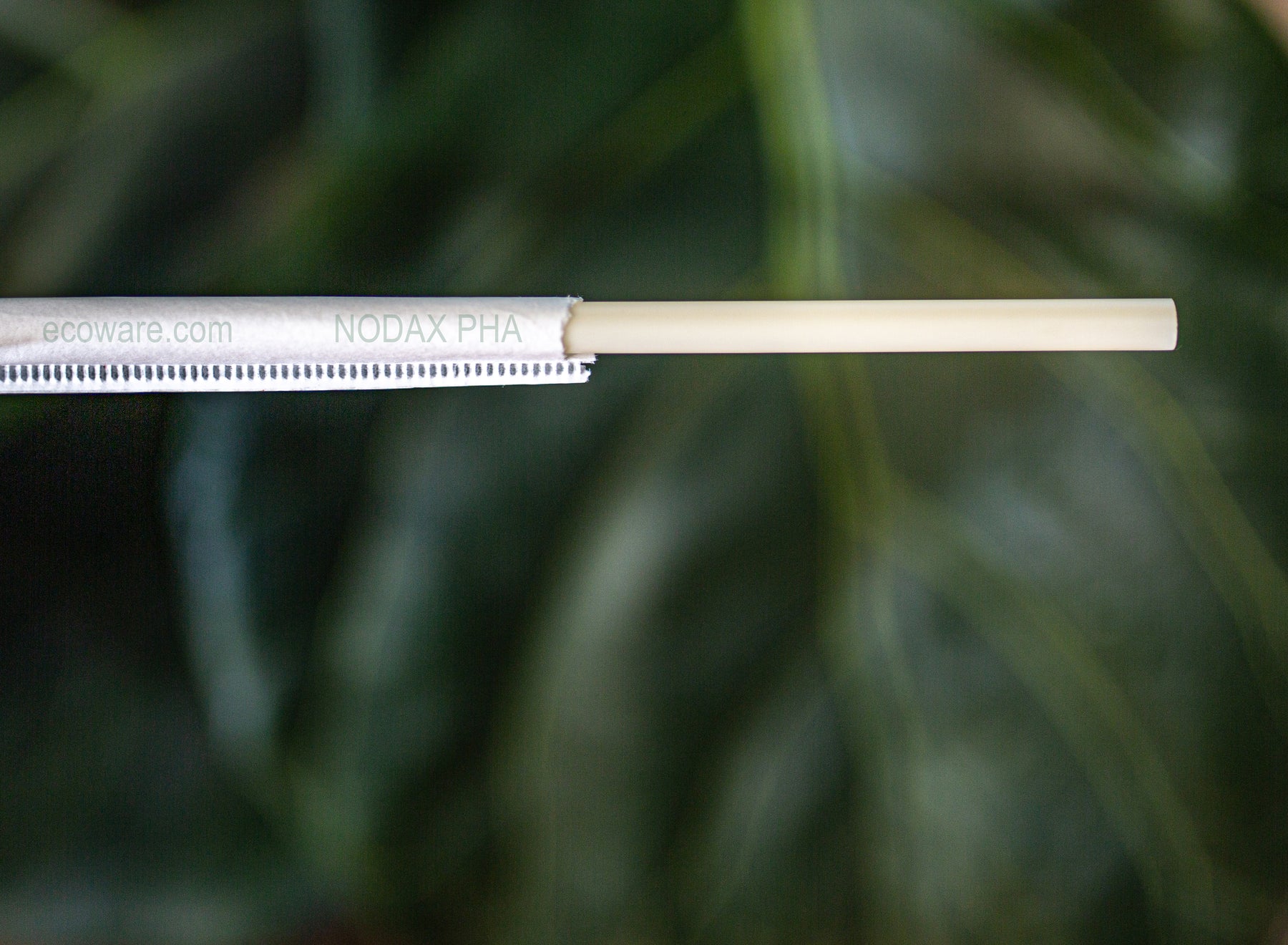 Ecoware | Compostable and Biodegradable Plant Based Straws & Cutlery