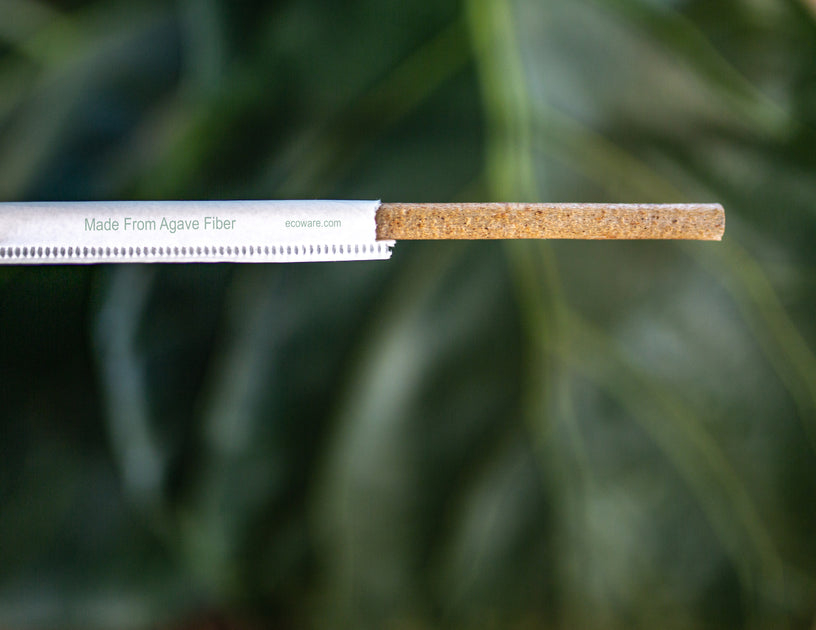 Ecoware Straw Sample Packs