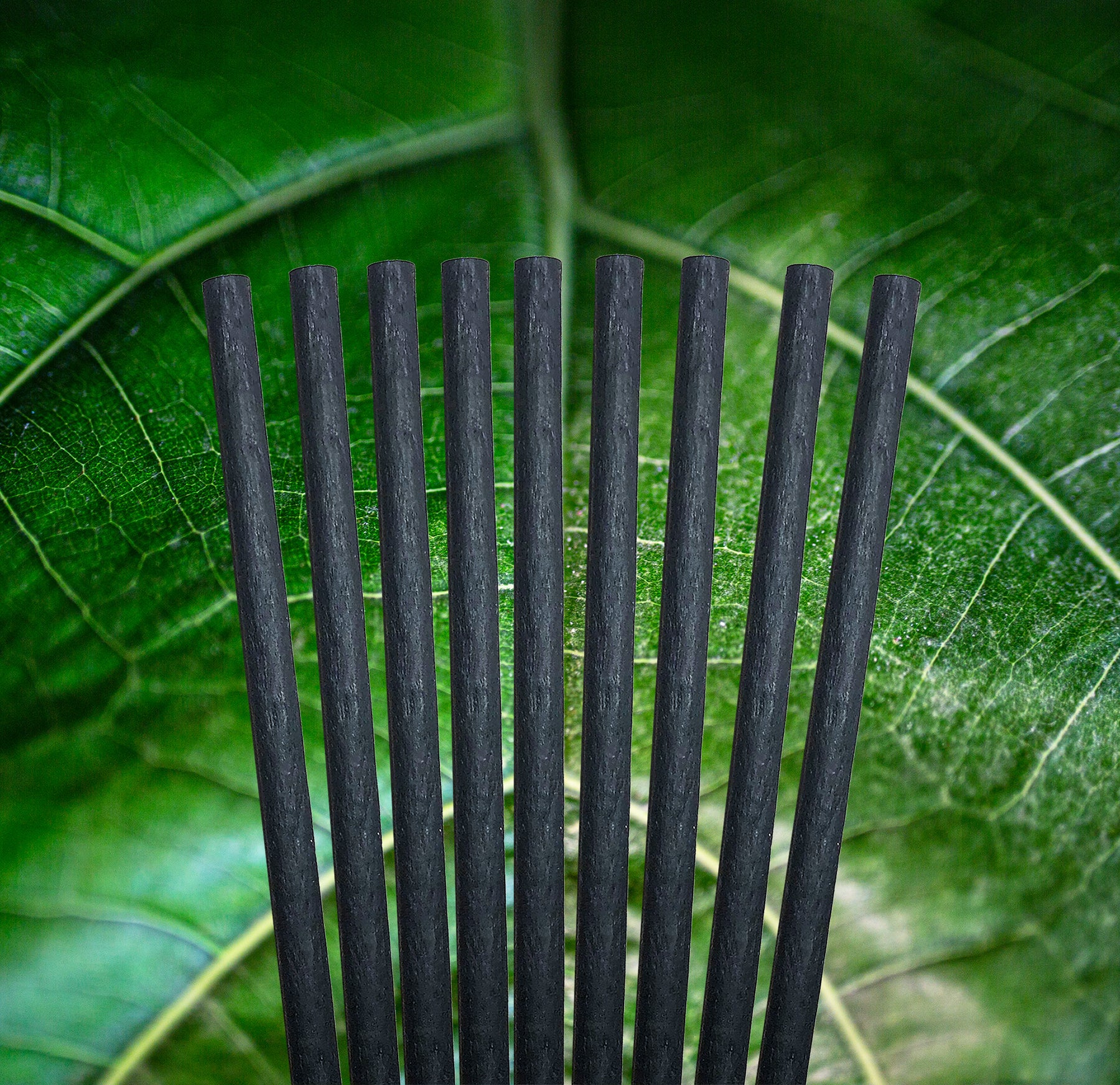Ecoware | Compostable and Biodegradable Plant Based Straws & Cutlery