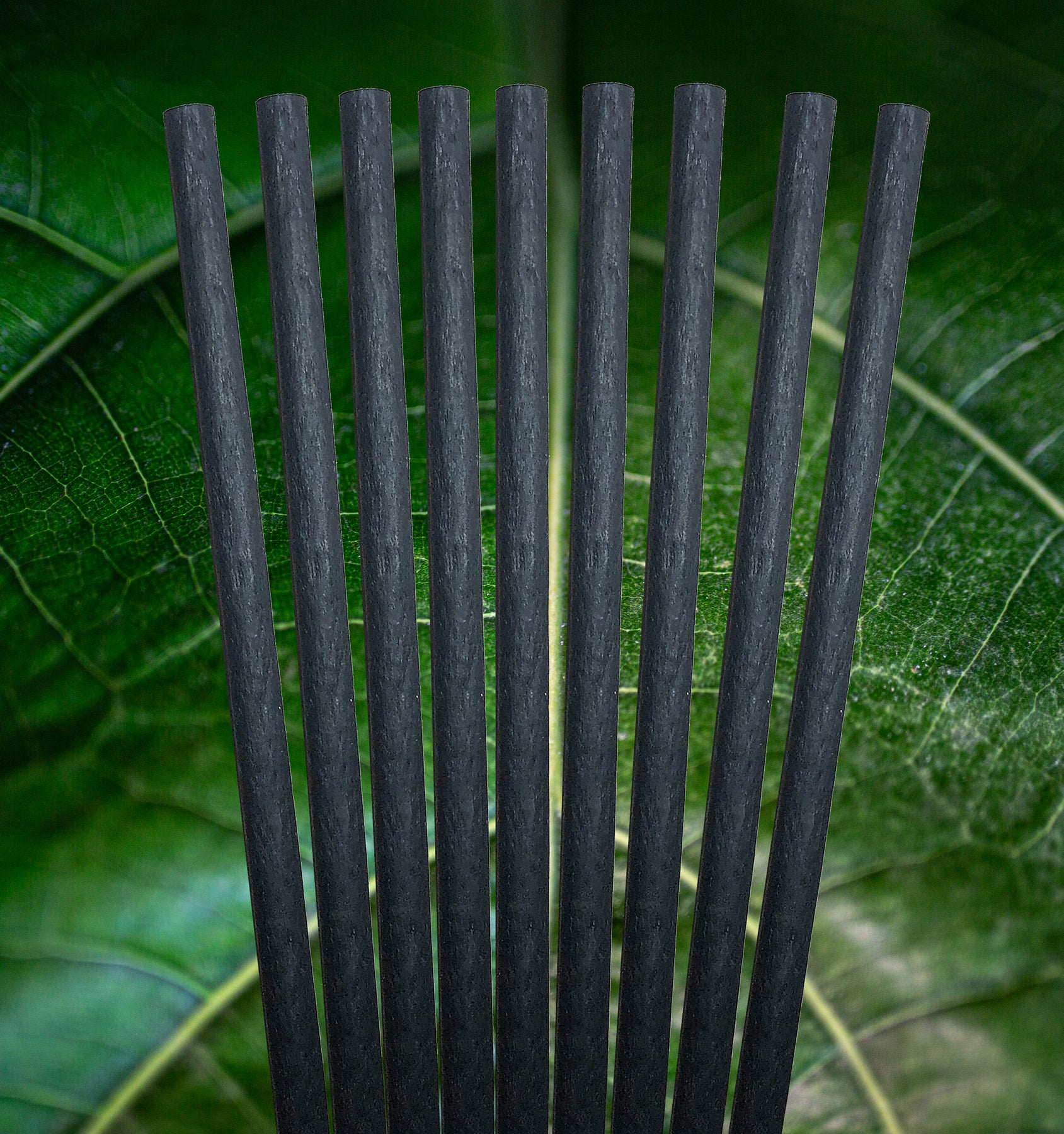 Ecoware | Compostable and Biodegradable Plant Based Straws & Cutlery